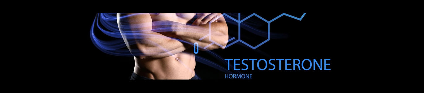 Testosteron steigern: 12 effektive Tipps Schnell & einfach – ESN