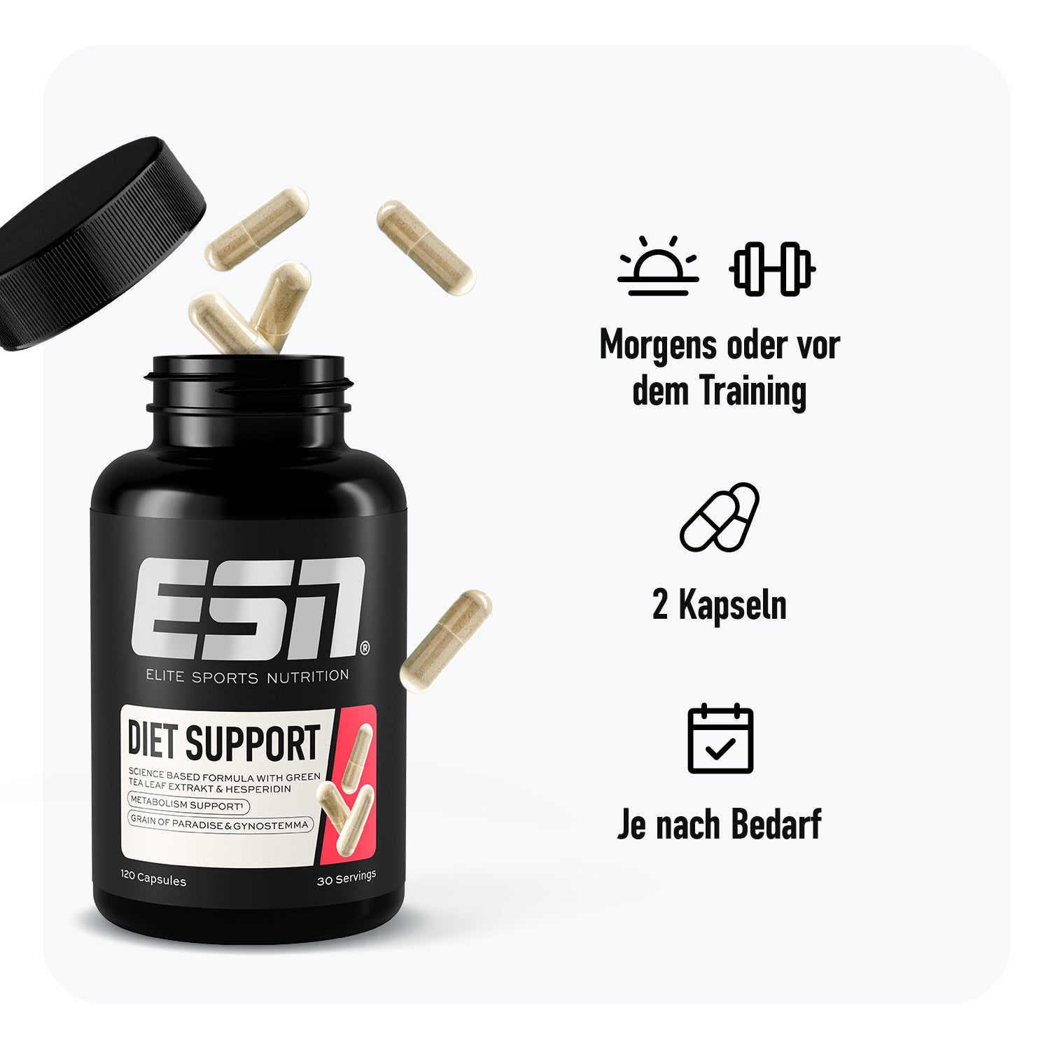 Diet Support Pro | 120 Kapseln = 30 Tagesportionen – ESN