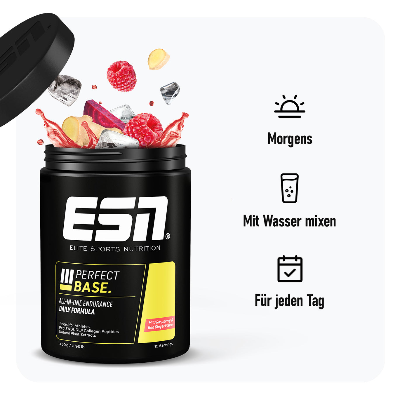 Endurance Line Perfect Base Pulver | 450g oder 30g Probe – ESN