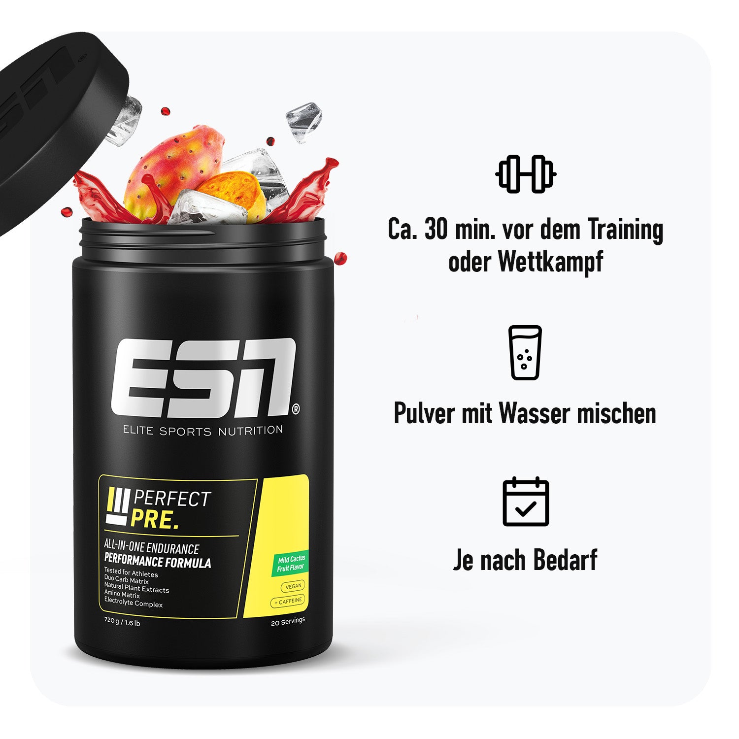 Endurance Line Perfect Pre Workout | 720g – ESN